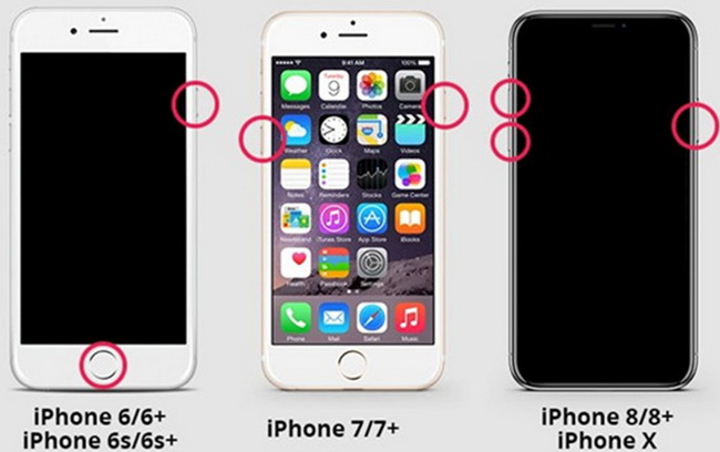 How to Fix iPhone Screen Turning Purple?
