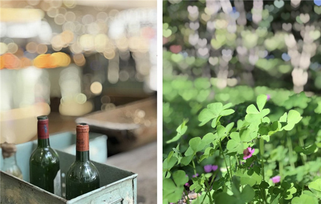5 Best Bokeh Effect Apps on iPhone