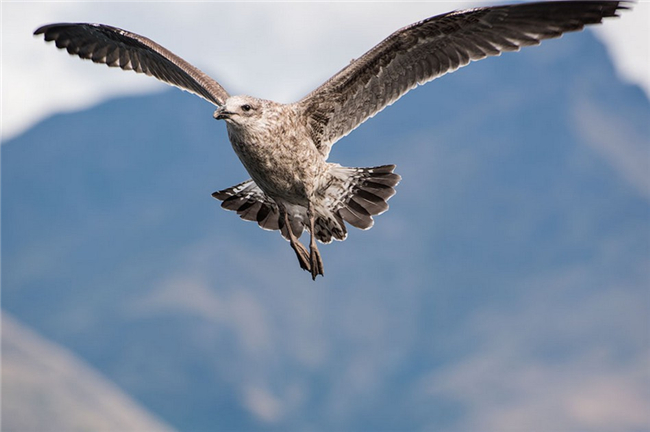 Best Fast Shutter Speed Photography Examples