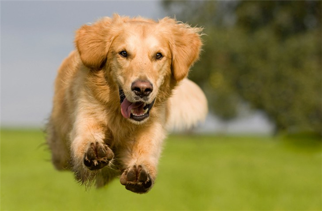 Best Fast Shutter Speed Photography Examples | Leawo Tutorial Center