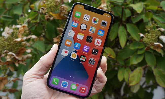 OLED vs. LCD on iPhone: Which Should You Choose