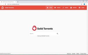 I 10 migliori motori di ricerca torrent che funzionano nel 2025