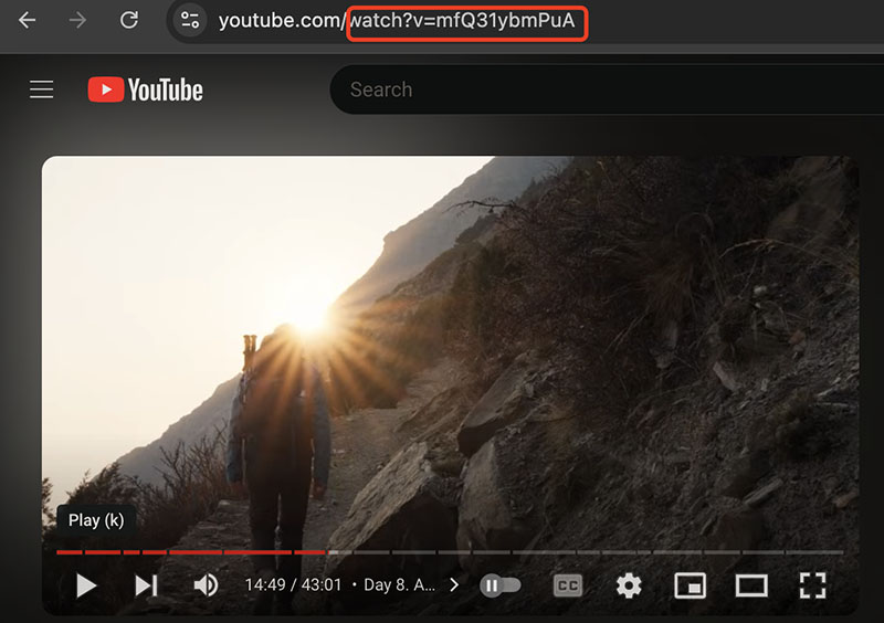 How to Watch and Download Private Videos on YouTube | Leawo